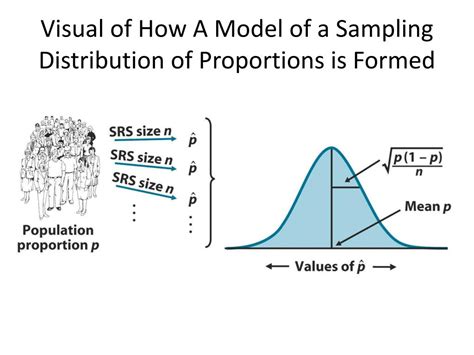 PPT - Chapter 18: Sampling Distribution Models PowerPoint Presentation - ID:6995669