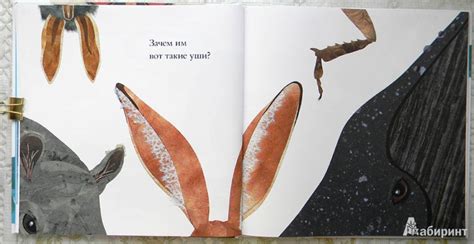 Книга: Про хвосты, носы и уши. Интересные факты о животных - Дженкинс ...