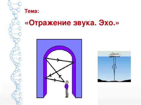 Презентация "Отражение звука. Эхо". 9 класс - физика, презентации