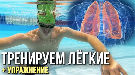 Как увеличить объём лёгких? Как задерживать дыхание надолго? - YouTube