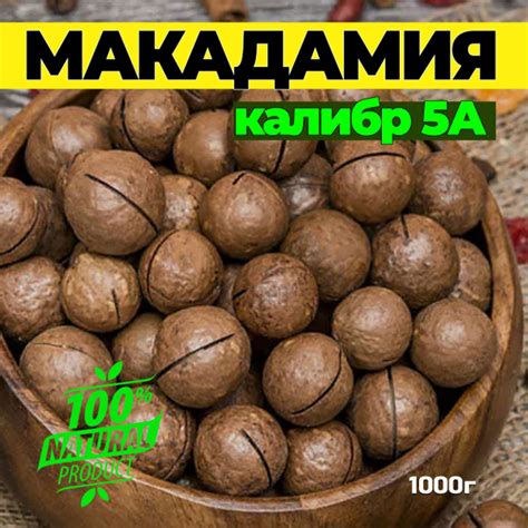 Орех Макадамия 5А 1кг. / Макадамия орех в скорлупе с ключом - купить с ...