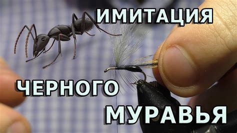 Имитация Черного Муравья. Универсальная мушка - YouTube