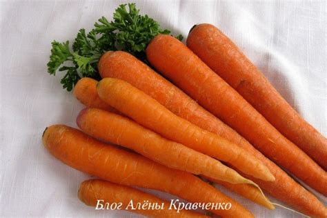 Морковь - польза и вред. 10 полезных свойств овоща