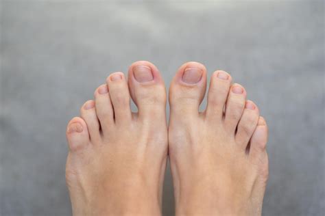 Premium Photo | Closeup of female feet and toes on white background ...