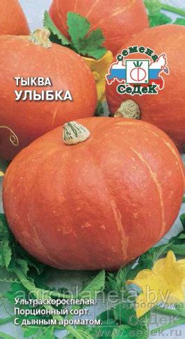 Тыква УЛЫБКА, 1.5г: семена, семена овощных культур, семенами, семена ...