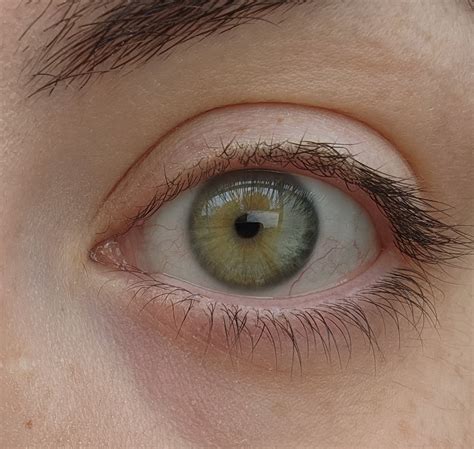 What color would you say my eyes are? : r/eyes