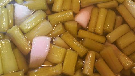 Цукаты из ревеня » My Humble Food - Простая жизнь и еда в Америке