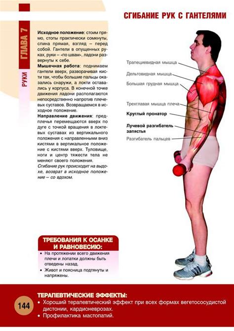Иллюстрация 55 из 55 для Анатомия физических упражнений - Михаил ...