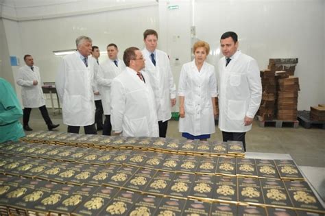 «На ярославской шоколадной фабрике запущена новая производственная ...