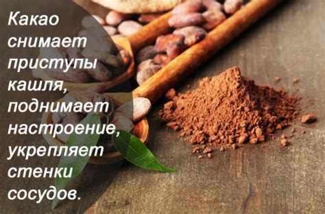 Какао-порошок - калорийность, полезные свойства, польза и вред ...