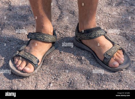 Feet of a man in sandals, standing in the sand Stock Photo - Alamy