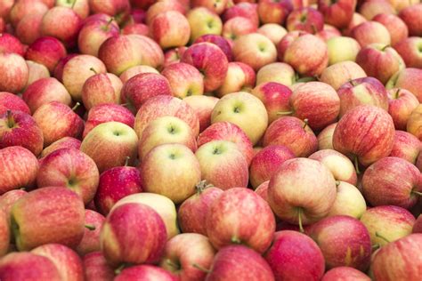 I Benefici della Mela – Natural Mania