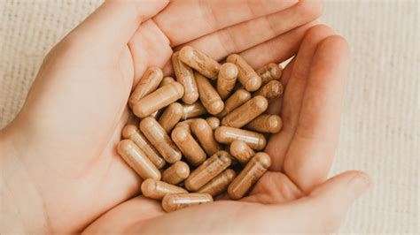 What Is Eurycoma Longifolia? Discover Its Benefits and Uses - Organic ...