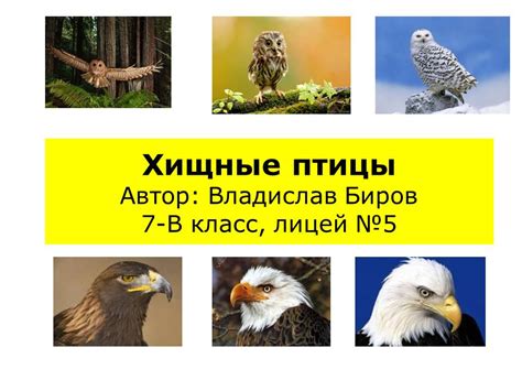 Хищные птицы 7 класс - Презентации по биологии