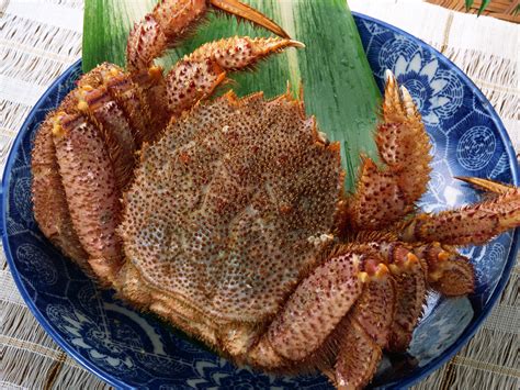 Колючий краб - обои для рабочего стола, картинки, фото