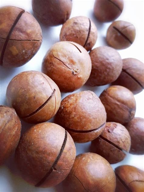 Орехи макадамия (macadamia) | Еда, Кулинария, Специи