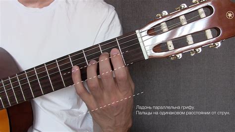 Курс гитары от Максима Чигинцева