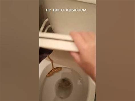 как правильно какать - YouTube