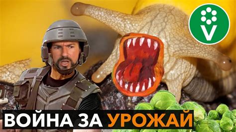 Как УНИЧТОЖИТЬ СЛИЗНЕЙ и остаться в живых? - YouTube