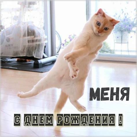 С днем рождения меня! 80 картинок
