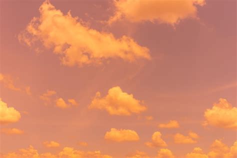 Premium Photo | Trend color background