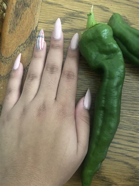 Biggest pepper grown all season! Not sure what kind they are but this ...