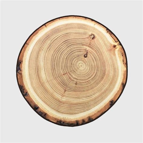 Годовые кольца (много фото) - treepics.ru