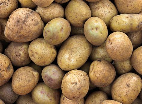 La pomme de terre, ce qu'il faut savoir | Bon pour toi