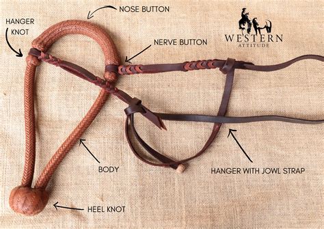 Le bosal : hackamore western | Western Attitude