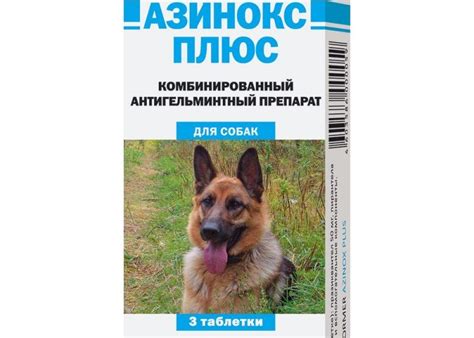 Таблетки от глистов для собак: какие глистогонные препараты давать питомцу?