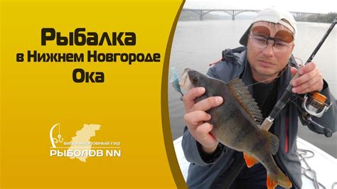 Рыбалка в Нижнем Новгороде. Ловля щуки, судака и окуня на спиннинг. Ока ...
