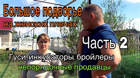 Гуси, Инкубаторы, Бройлеры и непорядочные продавцы .Большое подворье на ...