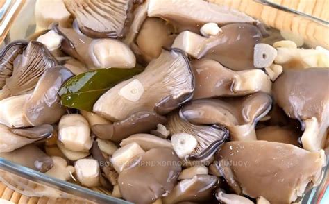Грибы вешенки маринованные быстрого приготовления рецепт с фото пошагово