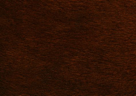 Мех, текстура меха, шкуры, fur texture background