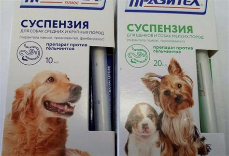 Суспензия от глистов «Празител Плюс» для собак средних и крупных пород ...