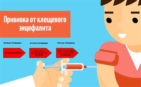 Прививка от клещевого энцефалита: схема вакцинации, цена