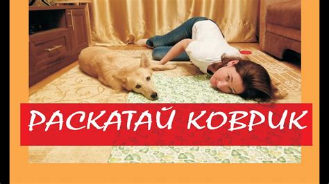 Собака раскатывает коврик по команде. Дрессировка собак. Маньяки собаки ...