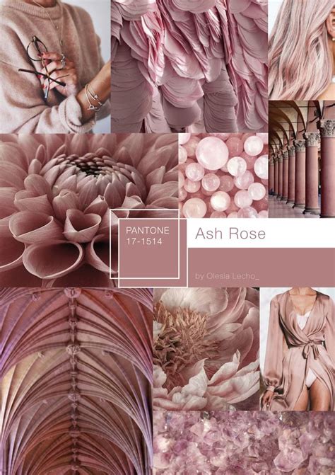 Модный цвет сезона весна-лето 2018: Ash Rose - PANTONE 17-1514 Этот ...