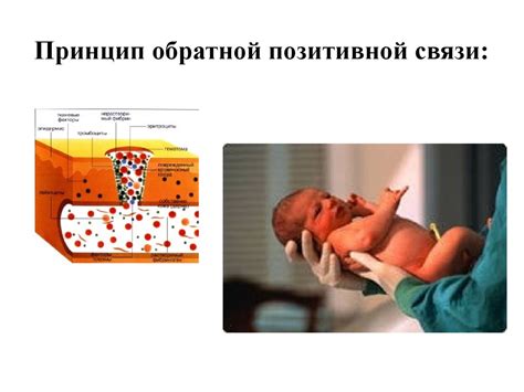 Строение тела человека. (9 класс) - презентация онлайн