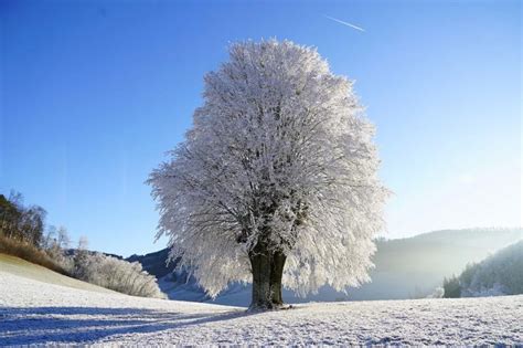 What Does It Mean to Dream of White? | Dream Glossary
