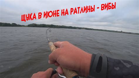 Ловля щуки в июне на ратлины (вибы) и блесна в шторм. - YouTube
