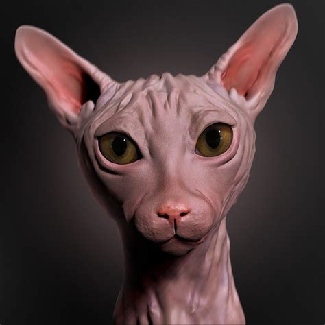 ArtStation - "Kukusik"