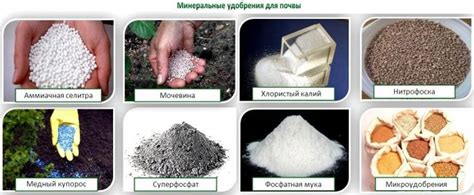 Минеральные удобрения для почвы и их характеристики
