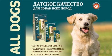 All dogs — корм для собак | отзывы, цена, состав