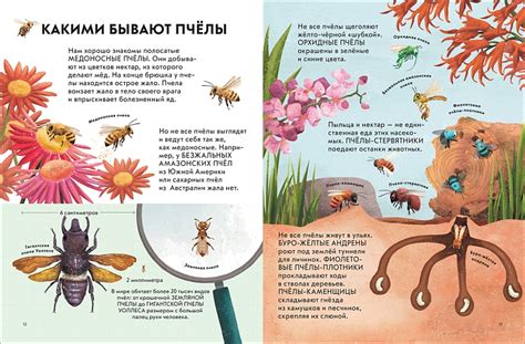 Детская энциклопедия насекомых – купить по лучшей цене на сайте ...