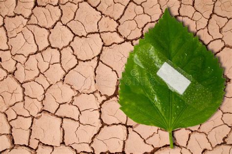 Eco Ecology Or Nature Protection Concept Stock Photo - Image of ...