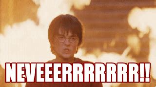 I will never stop using GIFs! - Reaction GIFs