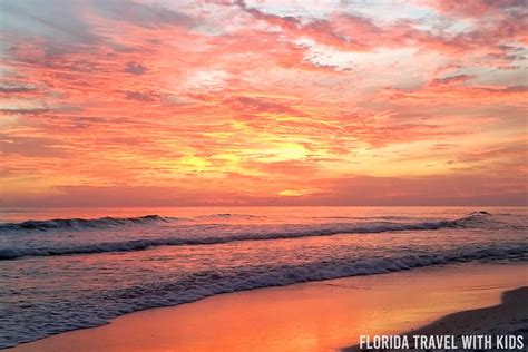 15 fantastic things to do in Siesta Key