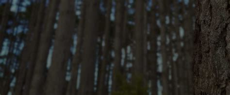 Timber Care - NZ Timber Profiles | Experts in Precision Timber ...