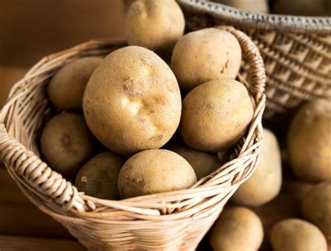 Как хранить картофель зимой в домашних условиях — ВокругСада.ру